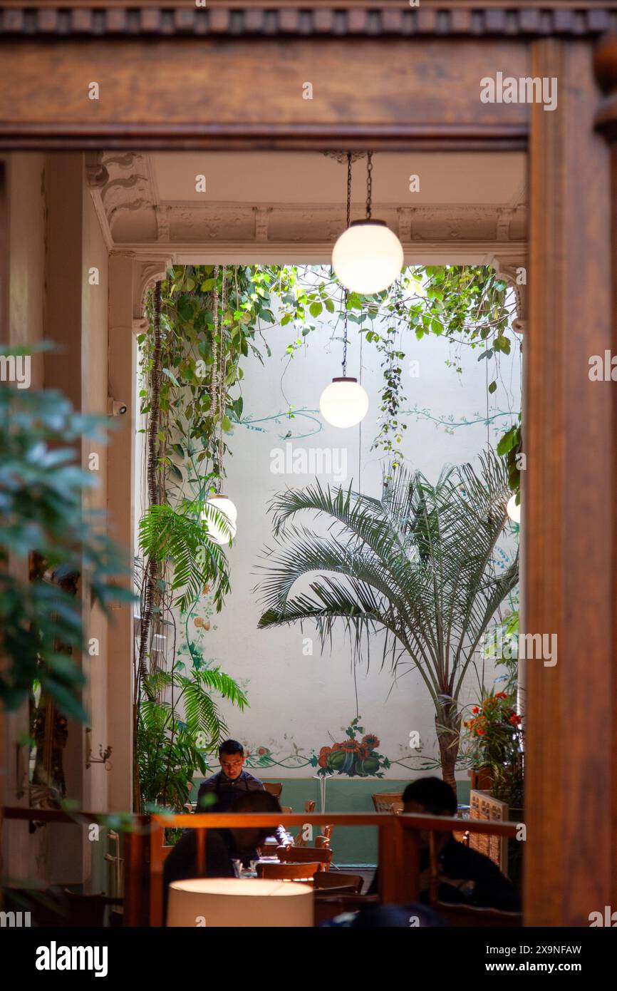 Rosetta Restaurant in Roma Norte in Mexico City, Mexico Stock Photo - Alamy