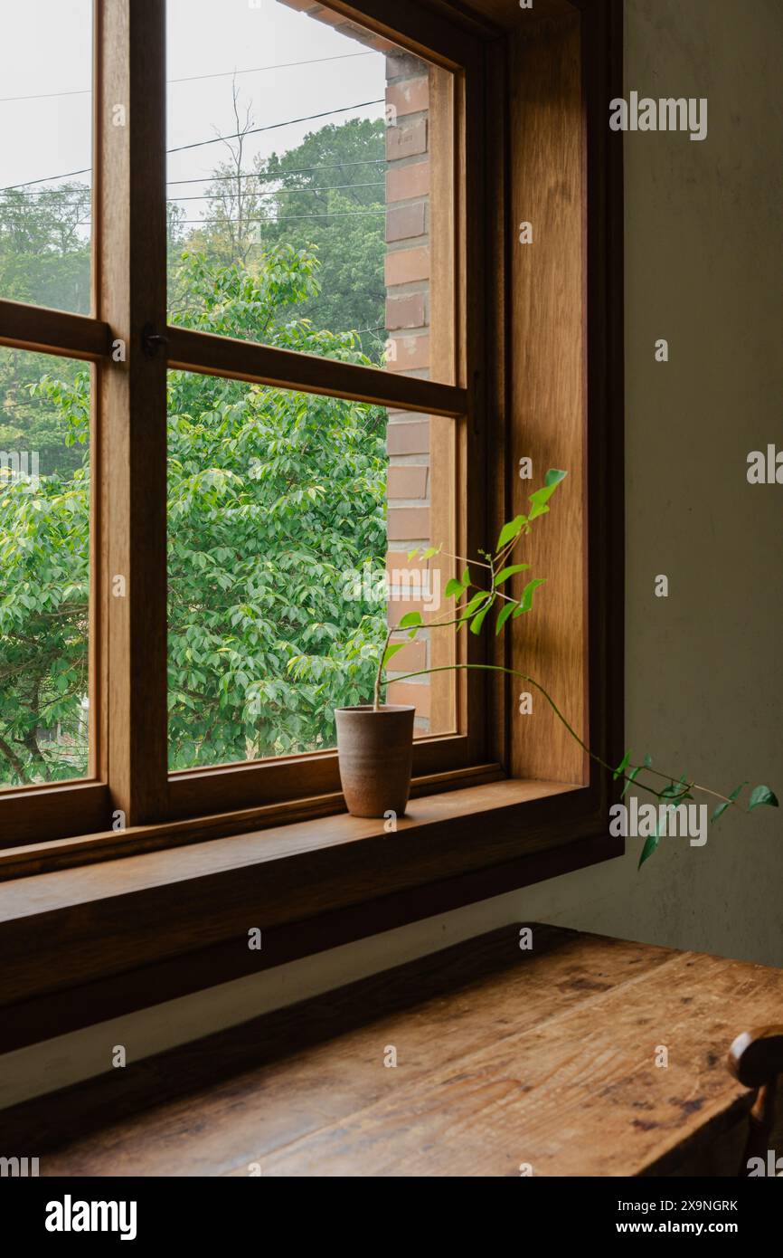 Potted plant on window sill with outdoor view Stock Photo - Alamy