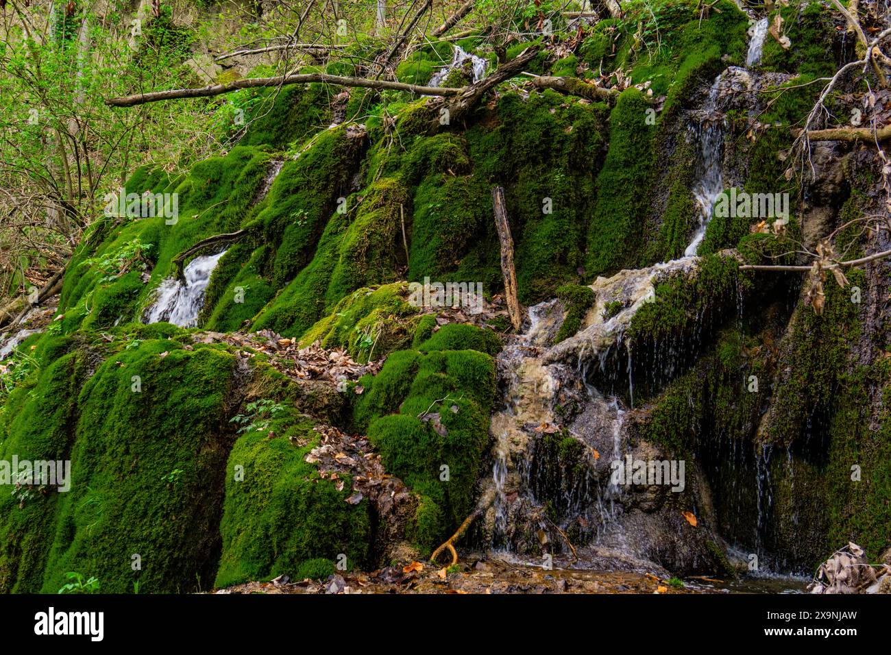 Cascading waterfall flows down moss-covered cliffs in the lush greenery of Beli Izvorac, Serbia ...