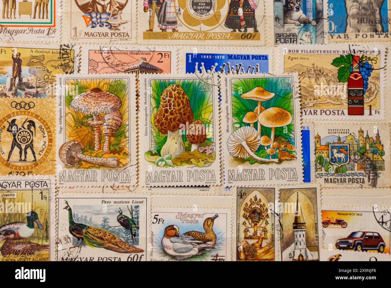A collection of stamps featuring various animals and plants. The stamps ...
