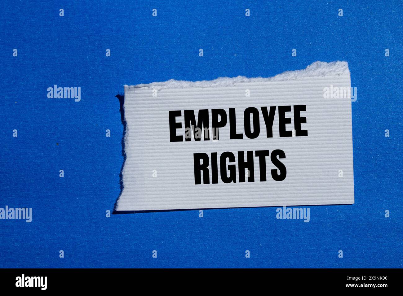 Employee rights words written on ripped white paper piece with blue ...