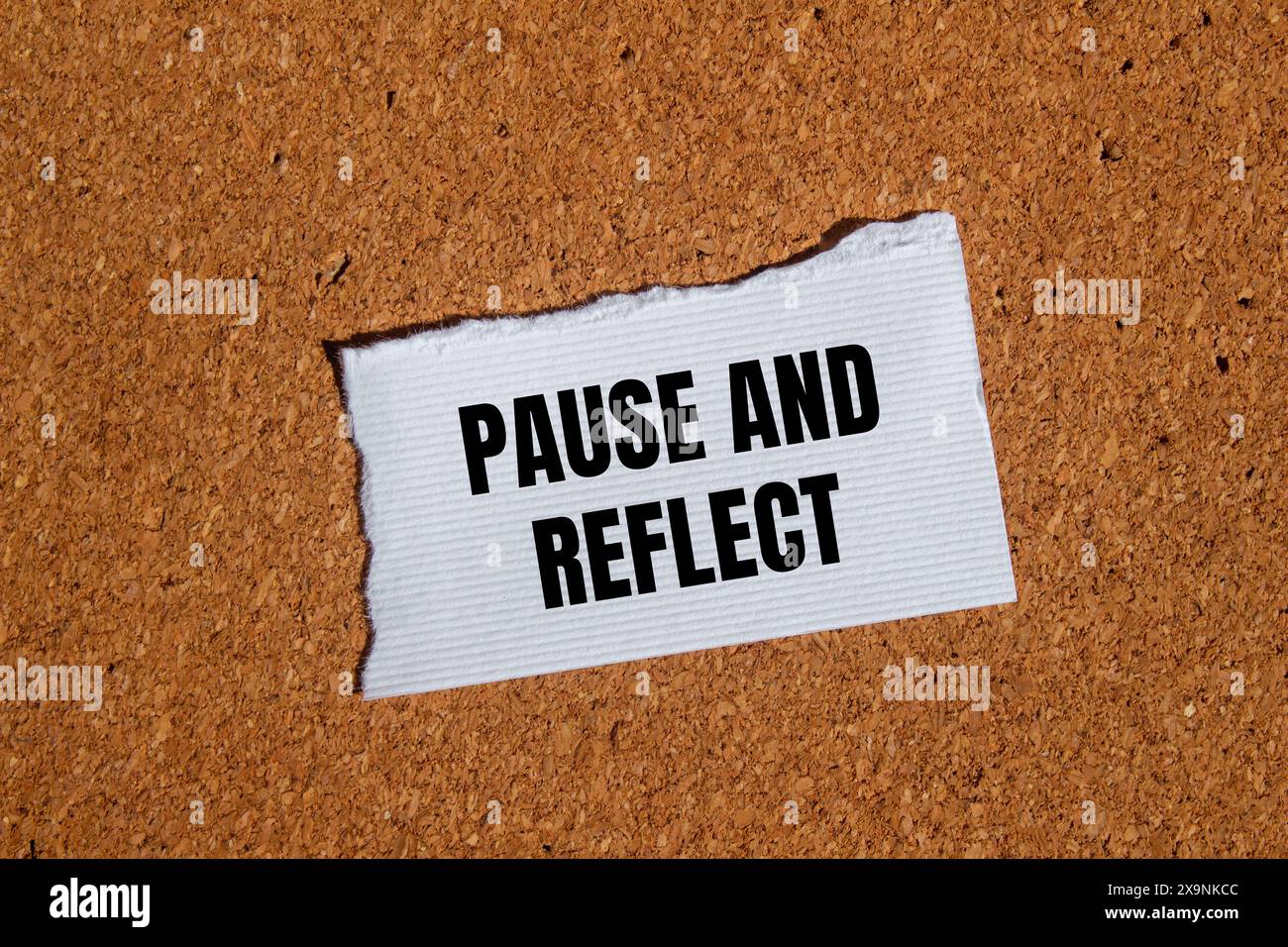 Pause and reflect words written on ripped white paper piece with brown ...