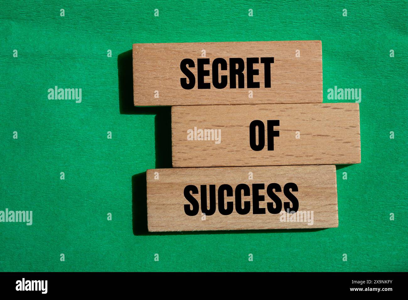 Secret of success words written on wooden blocks with green background ...