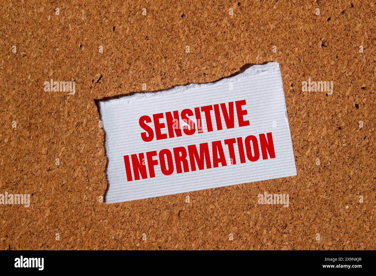 Sensitive information words written on ripped white paper piece with ...