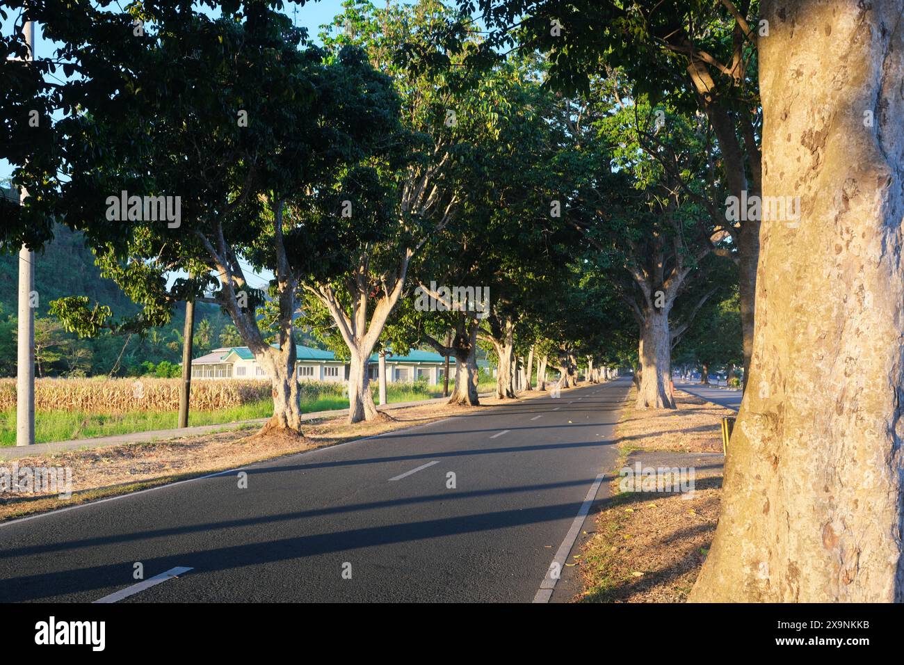 Pili drive hi-res stock photography and images - Alamy