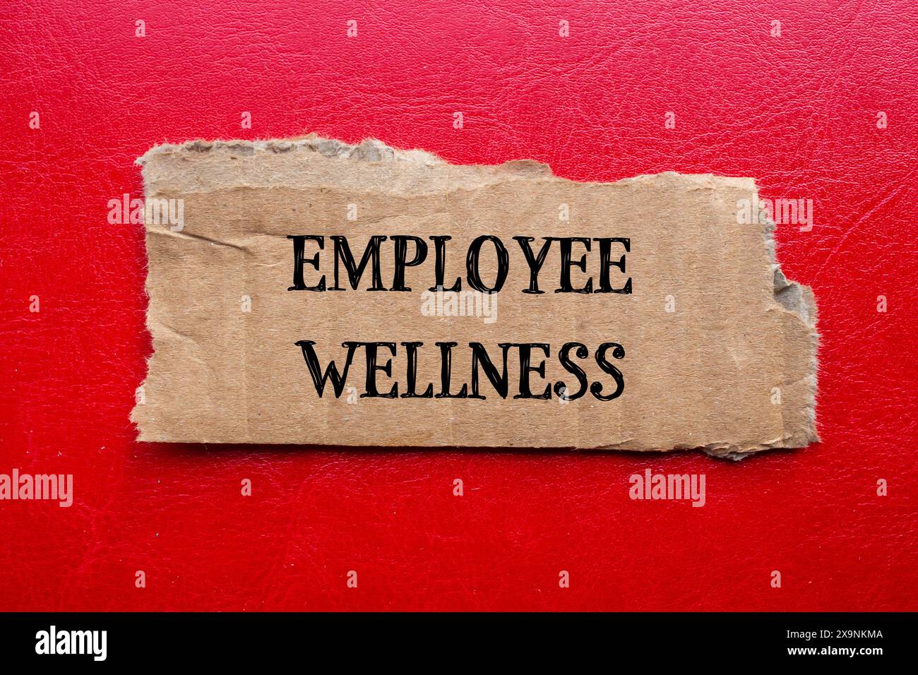 Employee wellness words written on ripped cardboard paper piece with ...