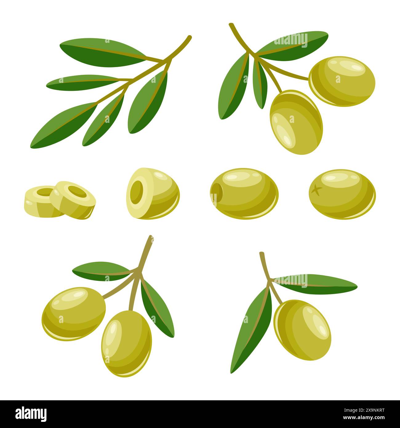 Flat Vector Green Olives and Branch Set. Hand Drawn Olive Tree Berry ...