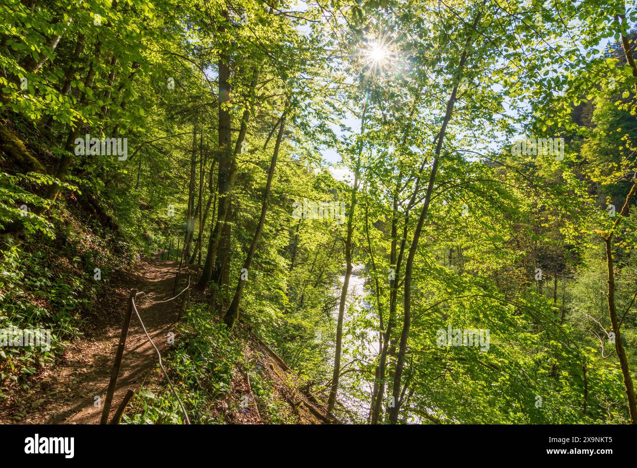 Wutachschlucht Wutach Gorge, river Wutach Wutach Schwarzwald, Black ...