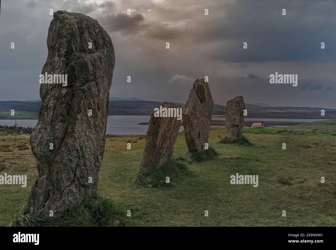 Callanish visitor centre hi-res stock photography and images - Alamy