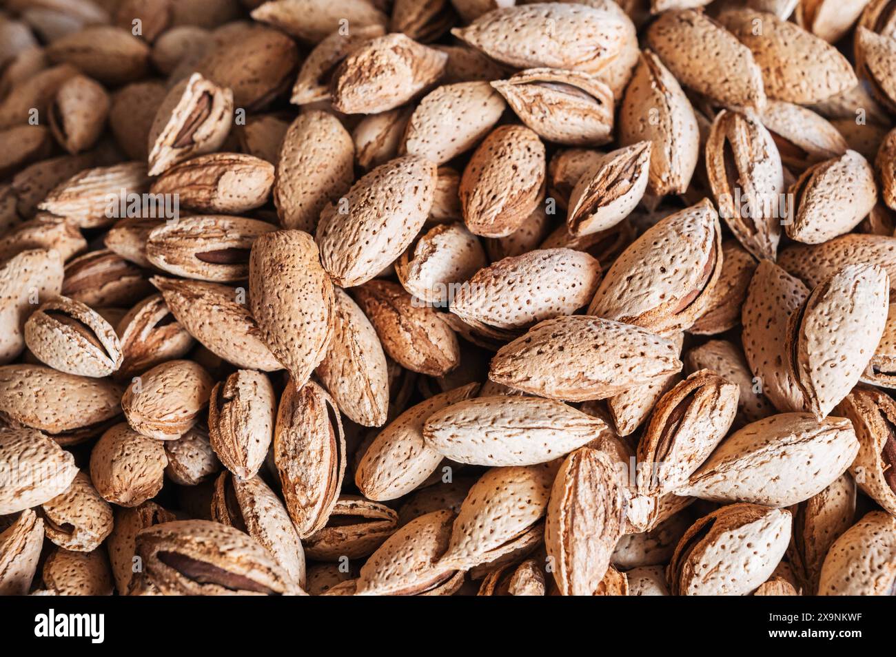 background with dry unpeeled almond kernels in a textured shell on a ...