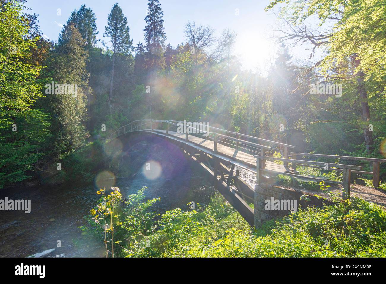 Wutachschlucht Wutach Gorge, river Wutach, bridge Fritz-Hockenjos-Steg ...