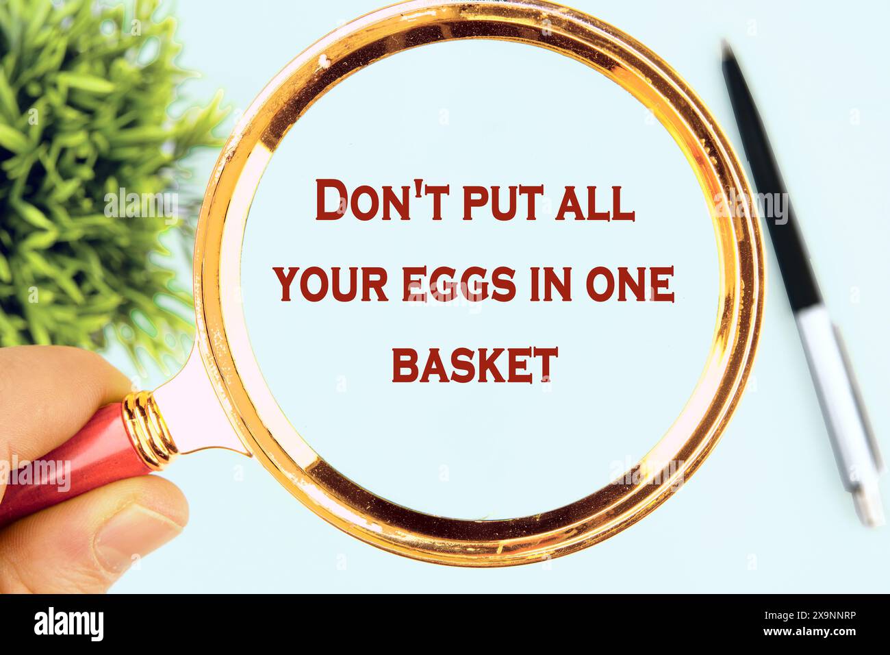 Don't put all your eggs in one basket text written through a magnifying ...
