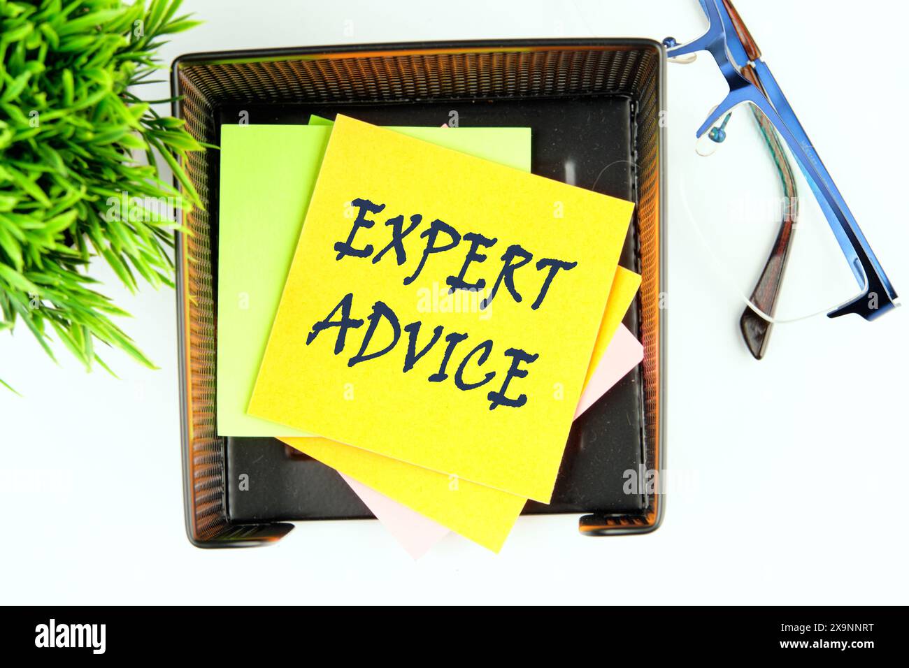 EXPERT ADVICE message on a yellow sticker in a stand on a white ...