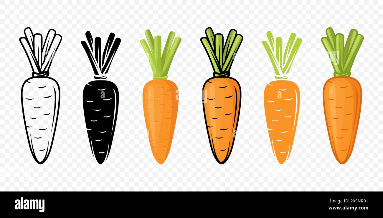 Vector Carrot Icon Set Closeup Isolated. Fresh Black and White and ...