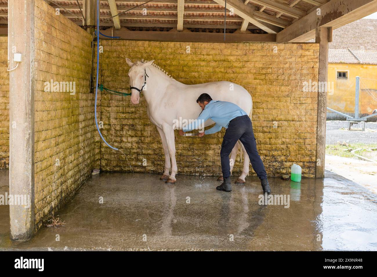 19 may 2024, Mafra, Portugal - competition in military academy - man is ...