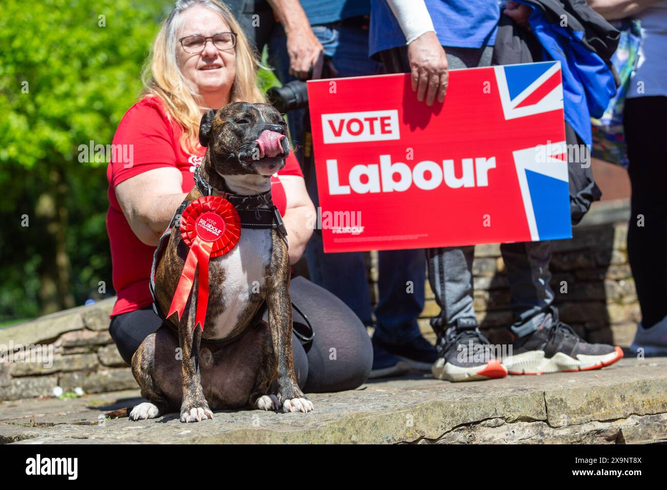 Dog labour rosette hi-res stock photography and images - Alamy