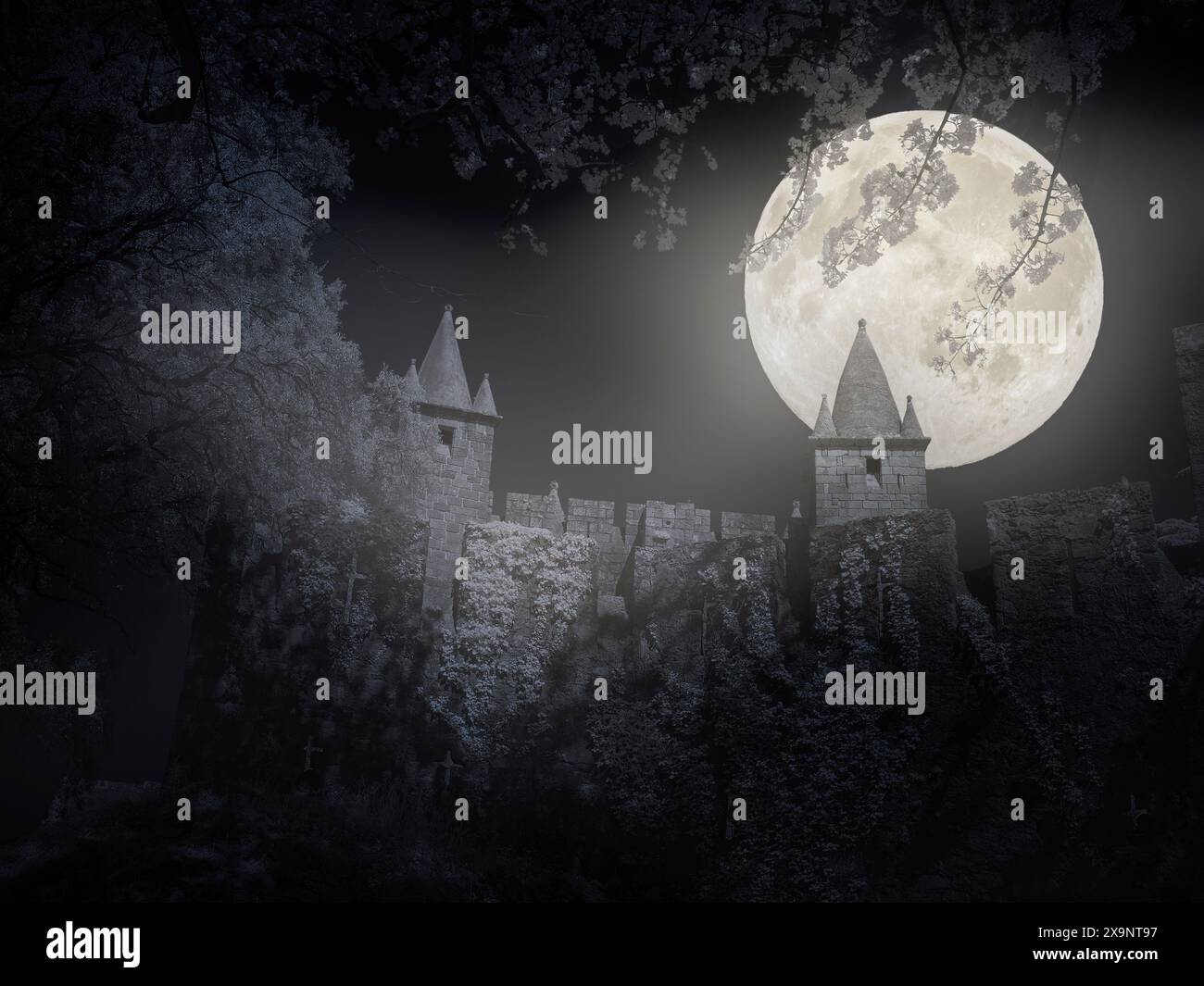 European medieval castle in a full moon night Stock Photo - Alamy
