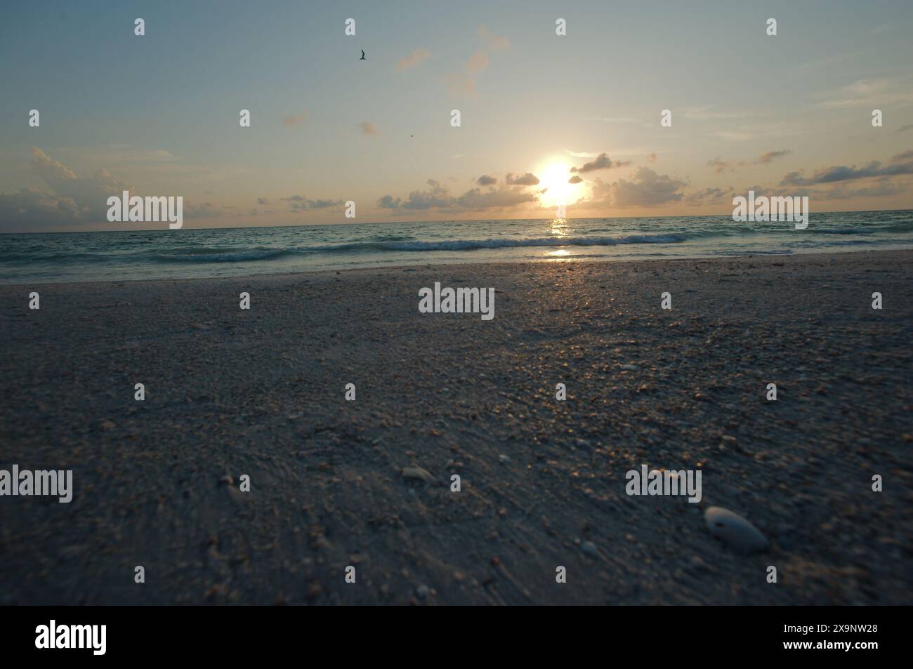 Room look out beach hi-res stock photography and images - Alamy