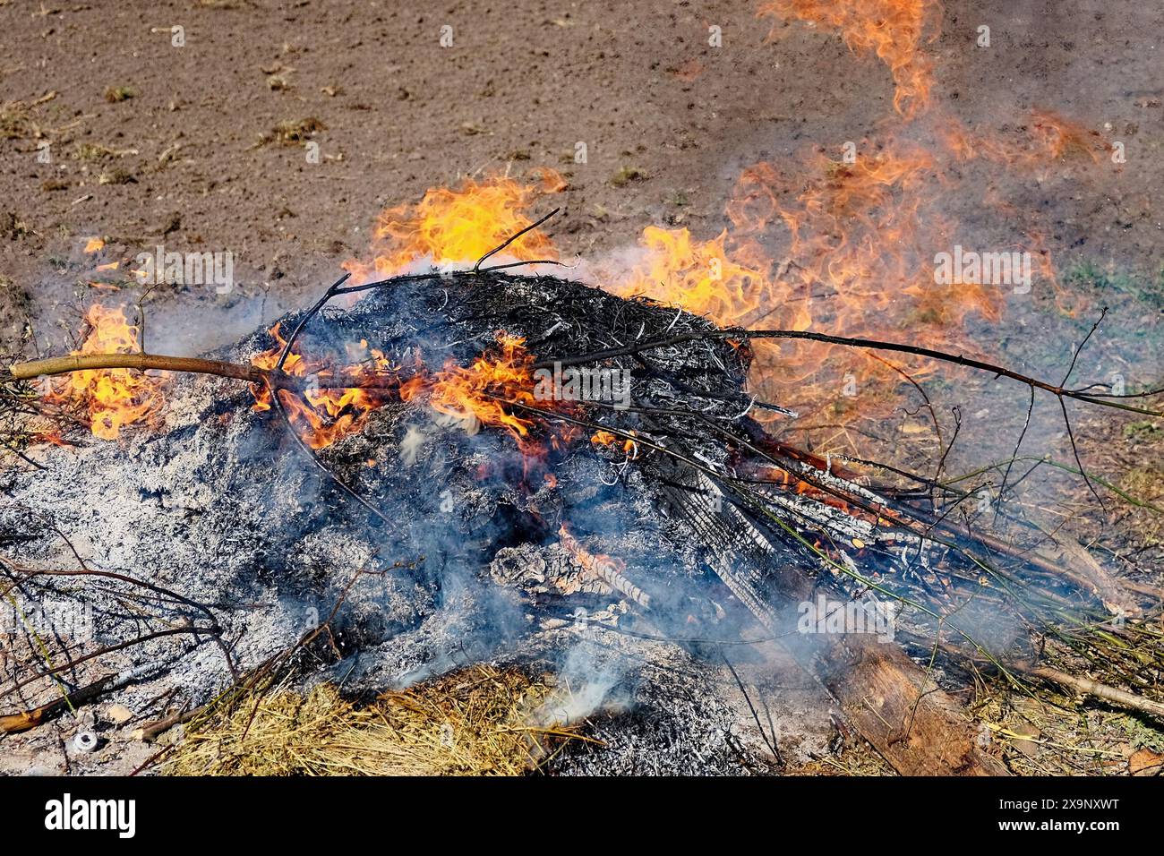 The image captures a small but intense fire burning on the ground Stock ...