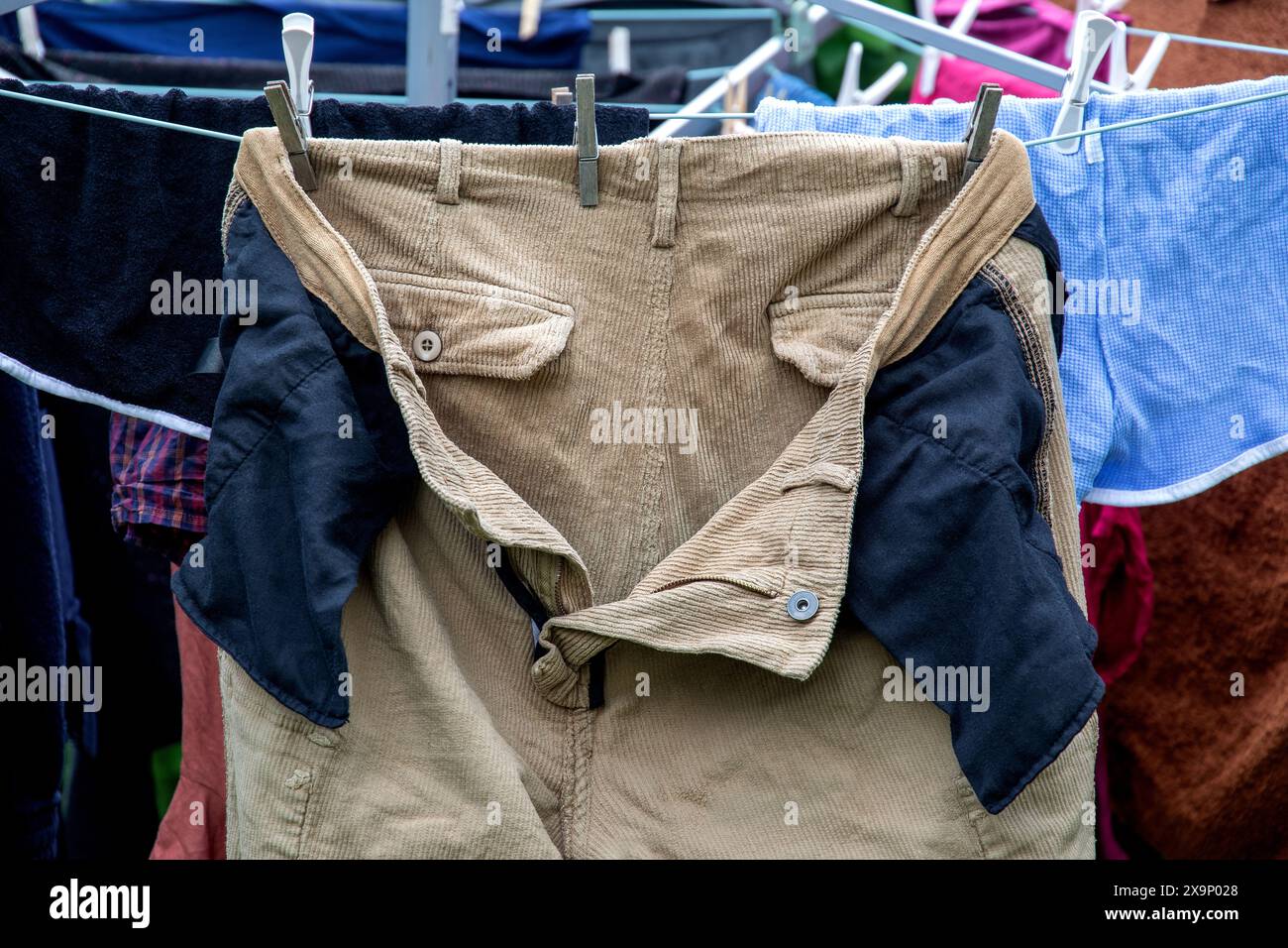 Outside-in corduroy trousers drying on a garden washing line after ...