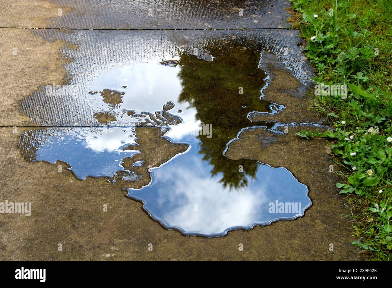 Leaked water spillage pool with reflections on a concrete slab garden ...