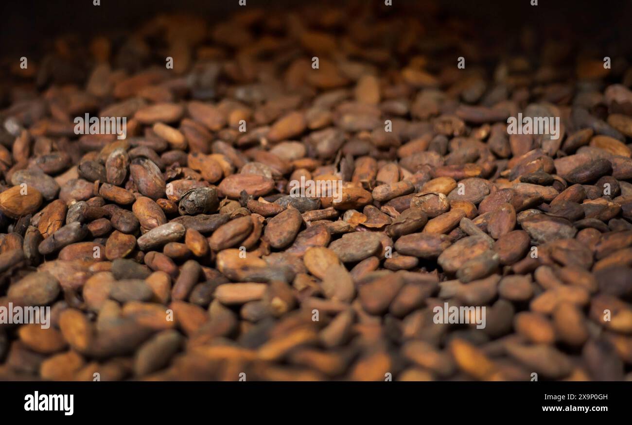 Seamless pattern cocoa bean hi-res stock photography and images - Alamy