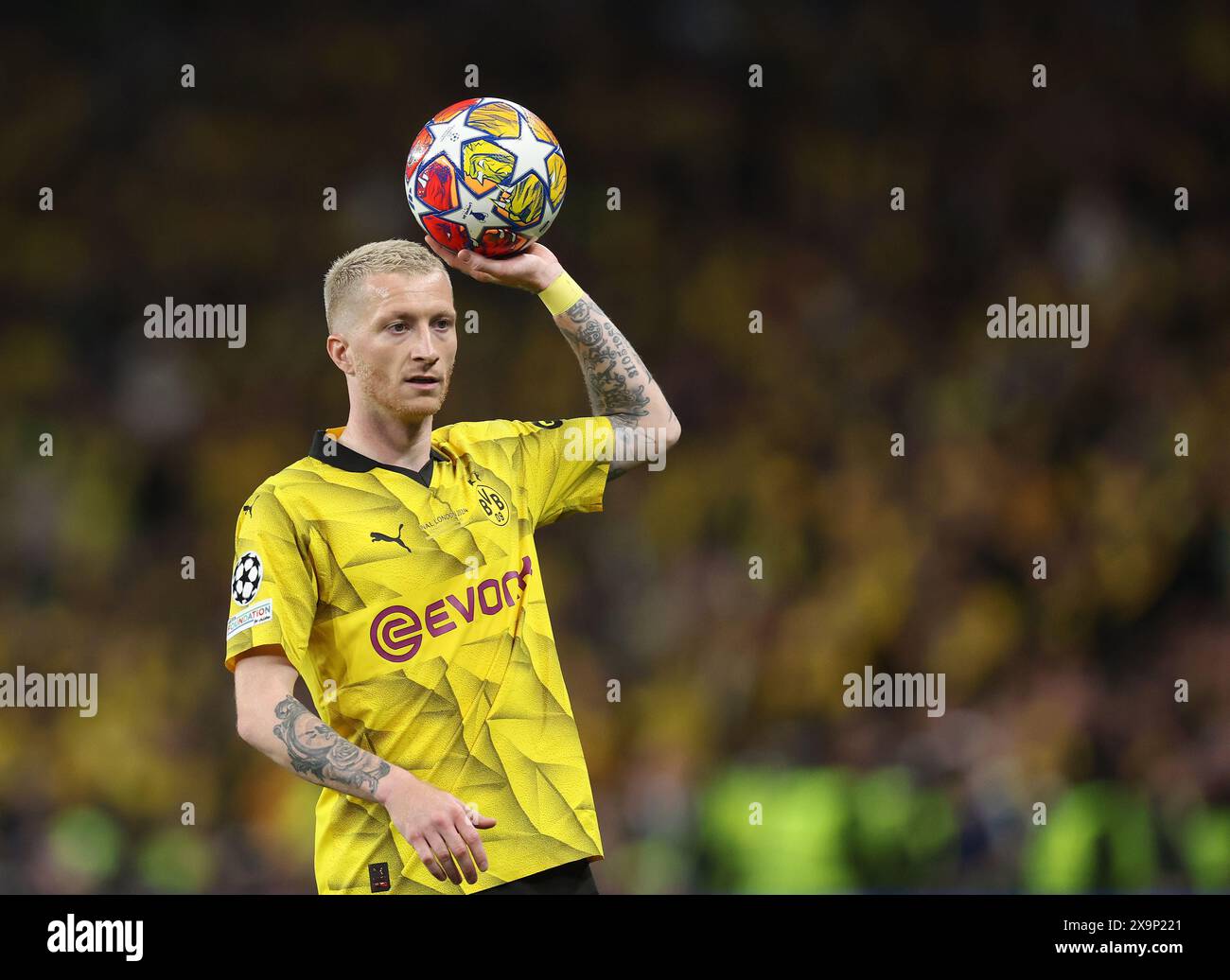 Marco reus borussia dortmund 2024 hi-res stock photography and images ...
