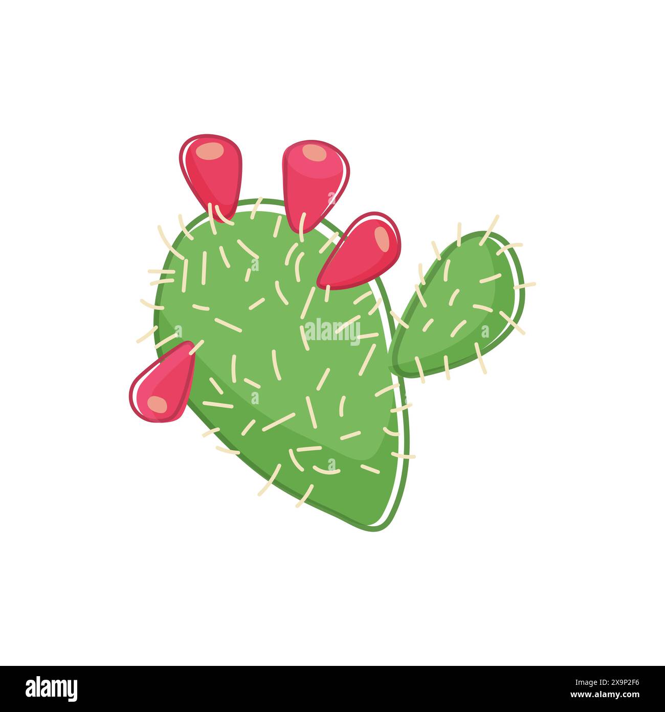 Cute cactus with pink fruits and prickles, adorable wild cacti plant vector illustration Stock ...