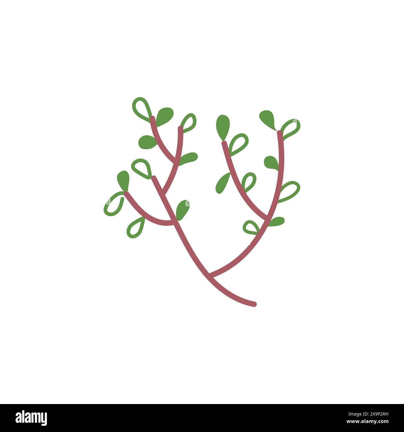 Cute line drawing of plant with leaves on branches, plant of Mexican ...