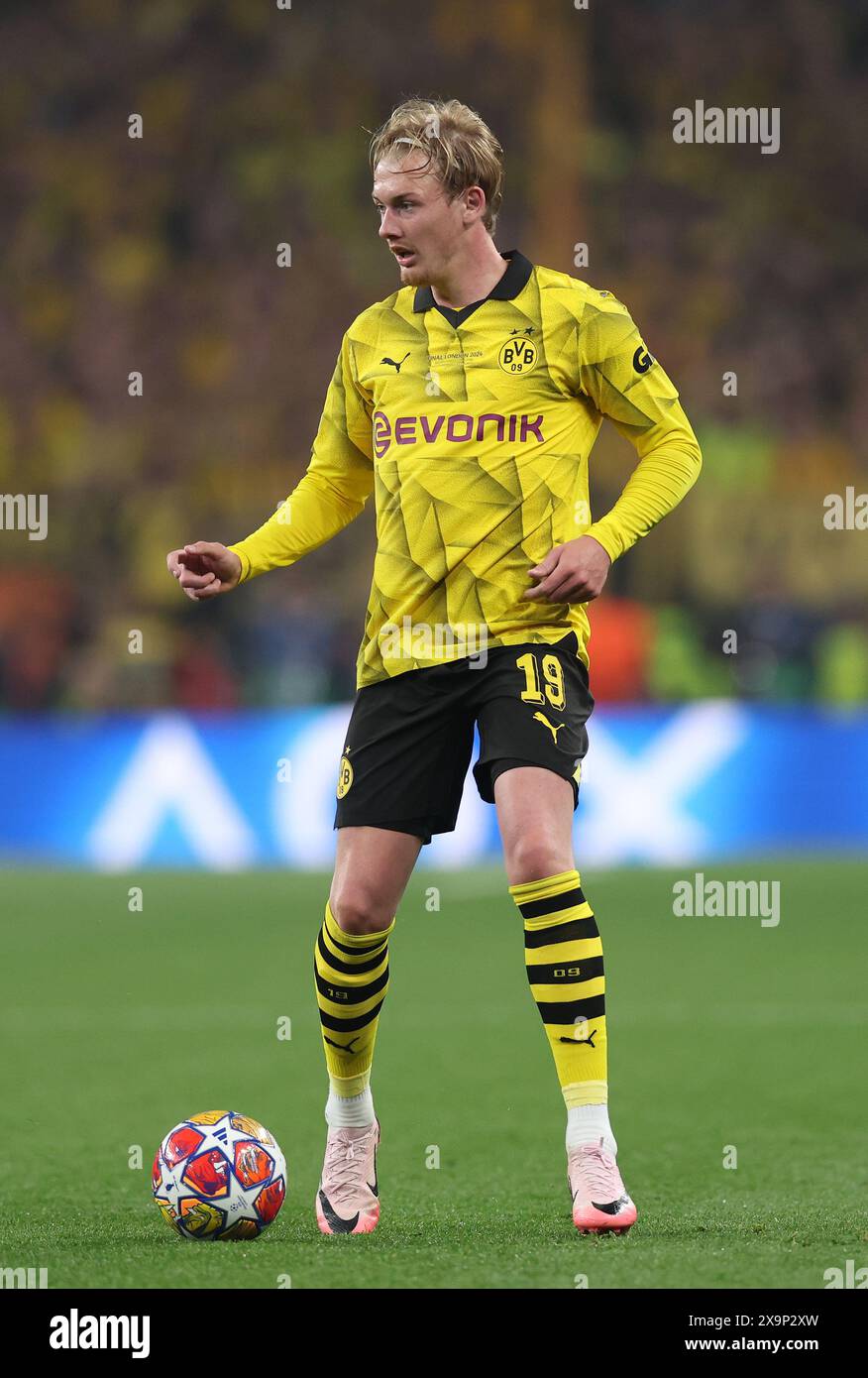 Borussia Dortmund 2024 Wallpaper
