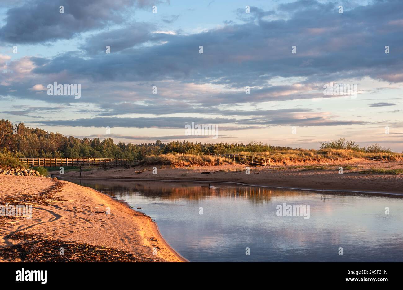 Boardwalk with pine tree on the baltic coast hi-res stock photography ...