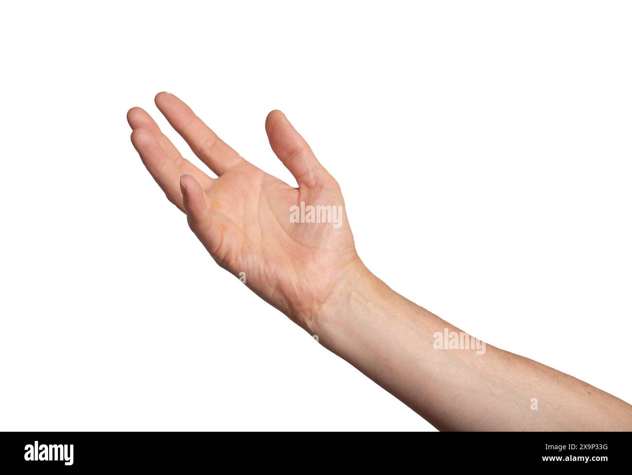 Hand arm isolated white take up hold object palm adult skin. Young ...