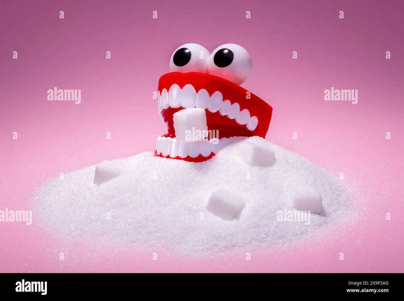 Toy dentures on a pile of sugar with a piece of sugar between the teeth ...
