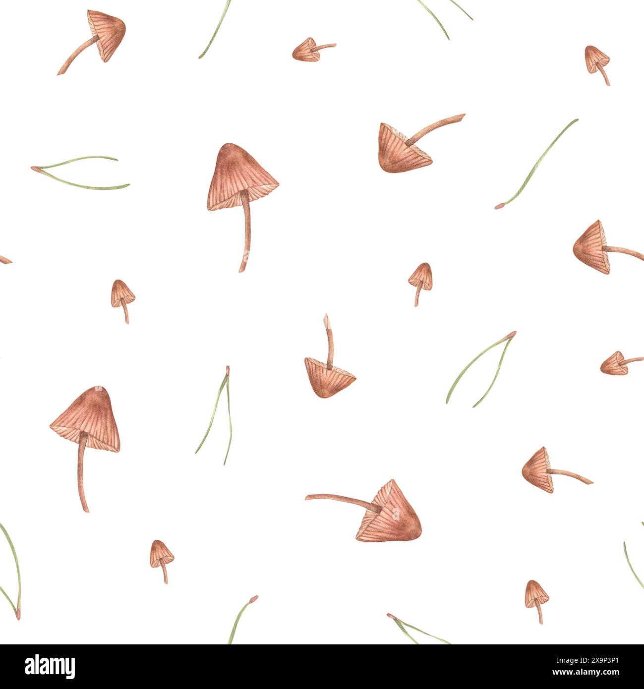 Fabrics pa Cut Out Stock Images & Pictures - Alamy