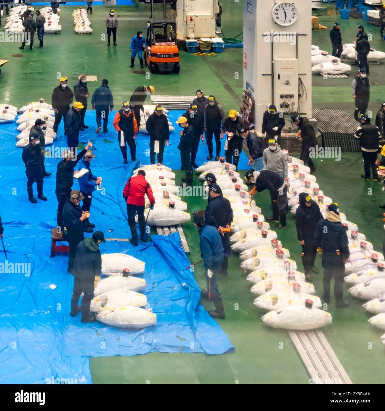Aerial view of a bustling fish market with workers sorting and ...