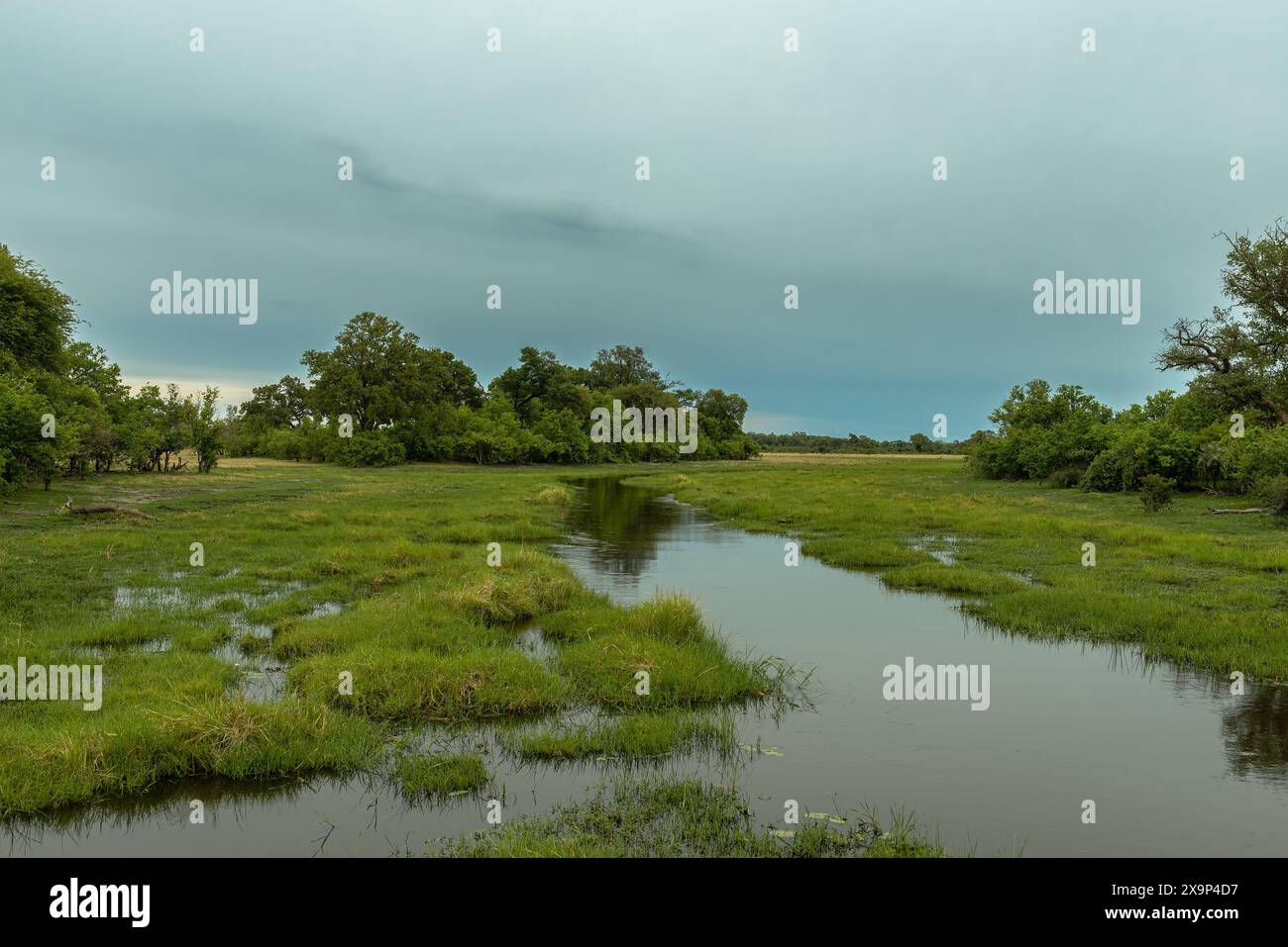 Beautiful landscape at the Khwai River, Botswana Stock Photo - Alamy