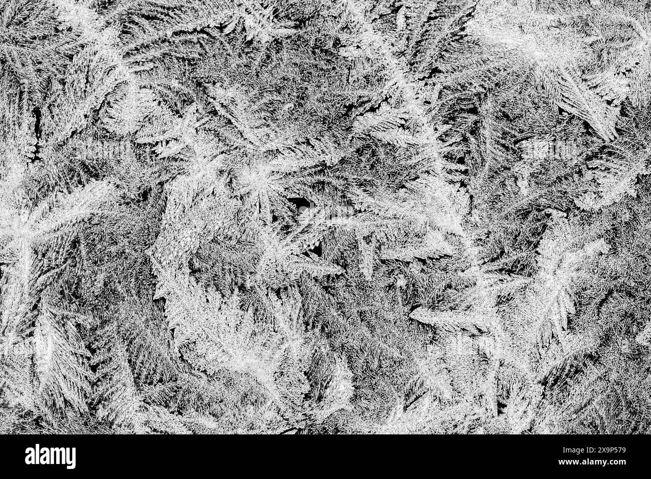 Background ice winter Black and White Stock Photos & Images - Alamy