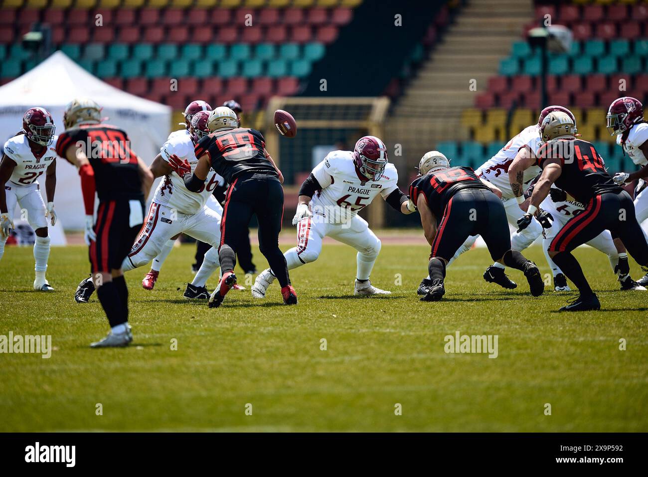 Berlin Thunder, GER, Berlin Thunder vs. Prague Lions, American Football ...