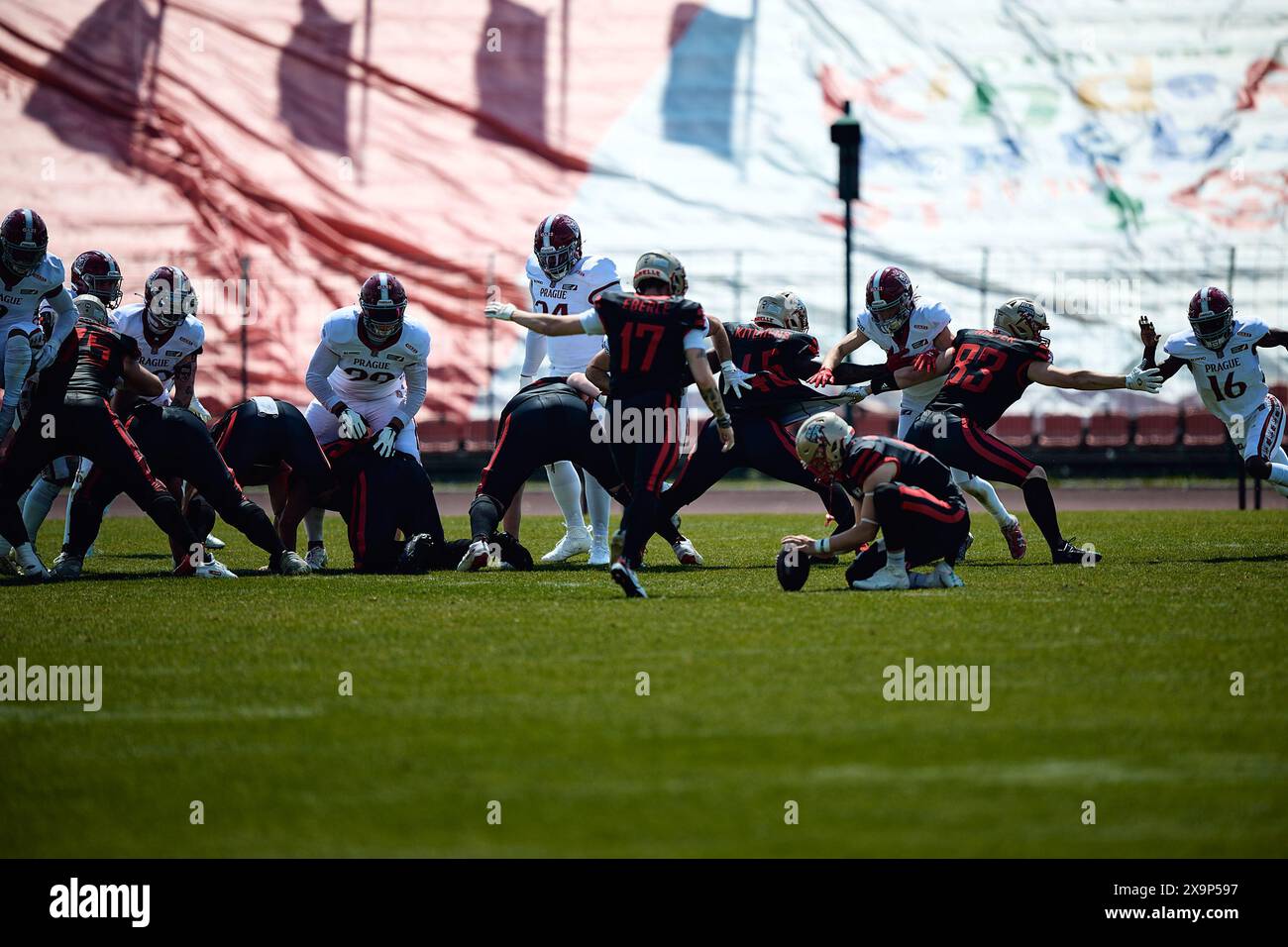 Berlin Thunder, GER, Berlin Thunder vs. Prague Lions, American Football, Saison 2024, European ...