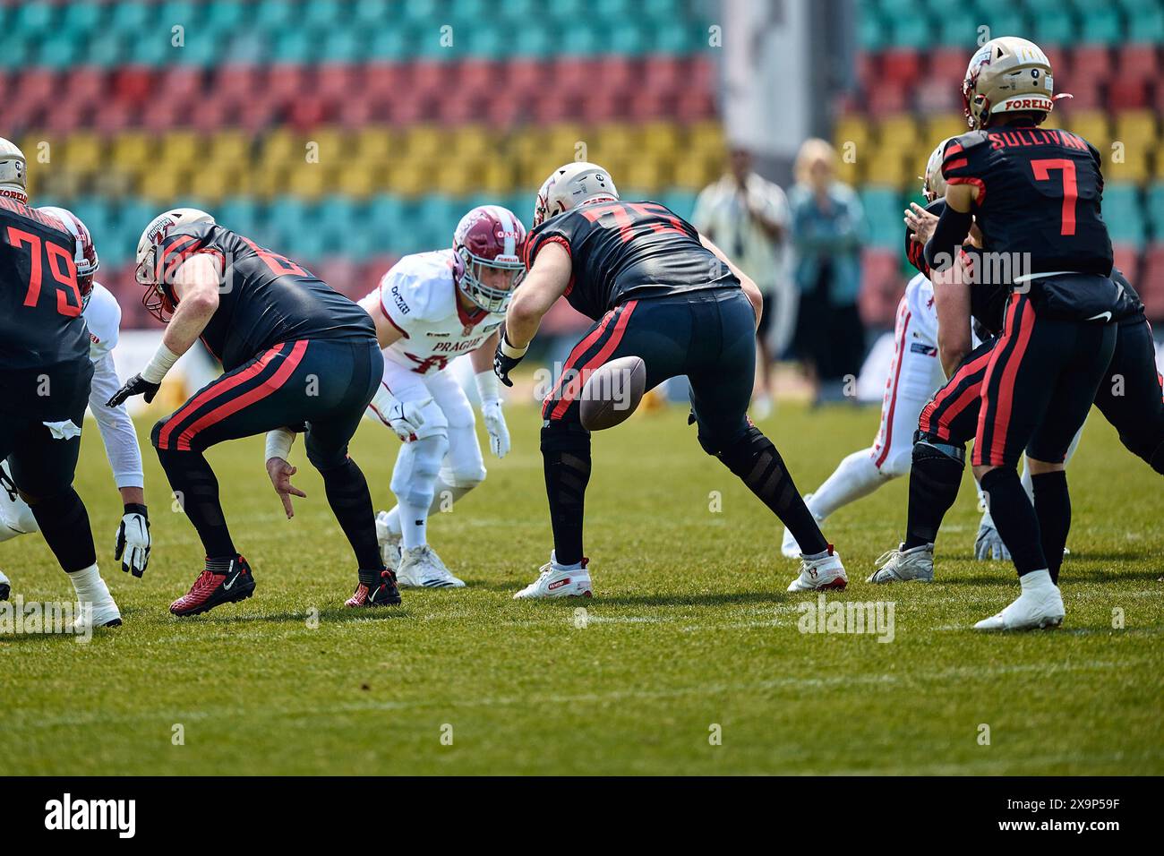 Berlin Thunder, Prague Lions, GER, Berlin Thunder vs. Prague Lions ...