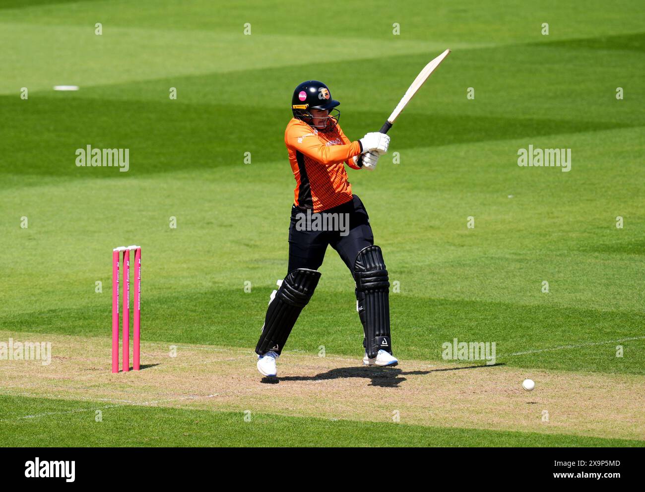 Southern Vipers' Nancy Harman bats during the Charlotte Edwards Cup ...