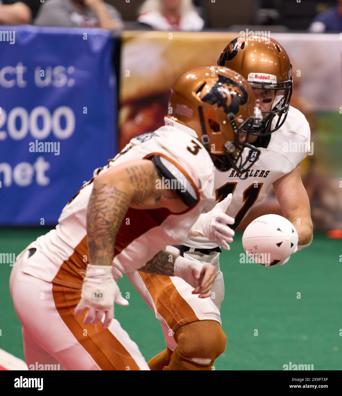 Shannon brooks hi-res stock photography and images - Alamy