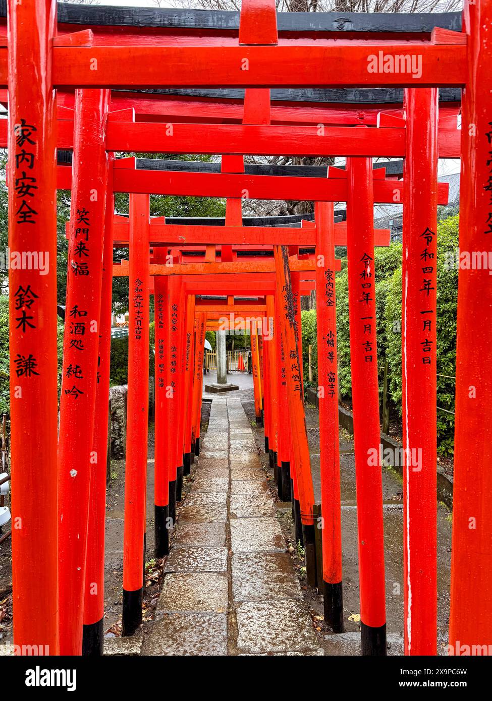 Vibrant red torii gates line a path in a serene japanese shrine with ...