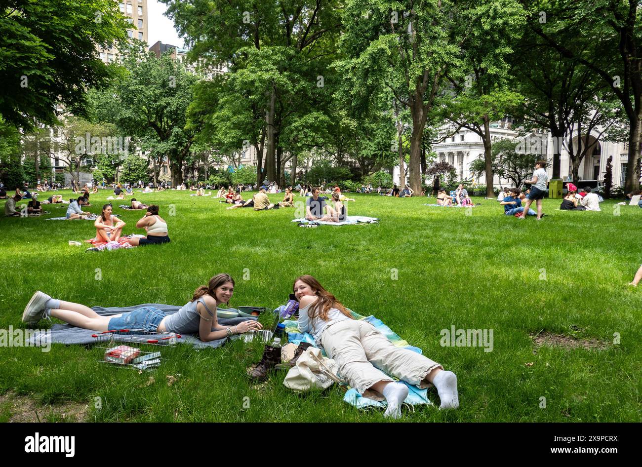 Madison Square Park is popular in summer, NYC, USA, 2024 Stock Photo ...