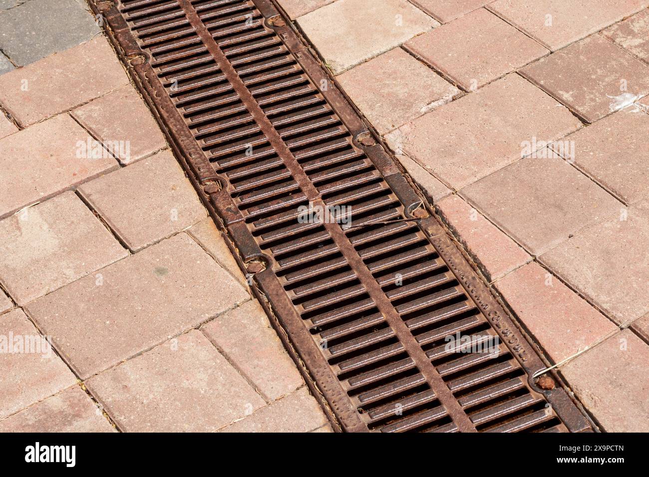 Showcasing intricate details of plant structures hi-res stock ...