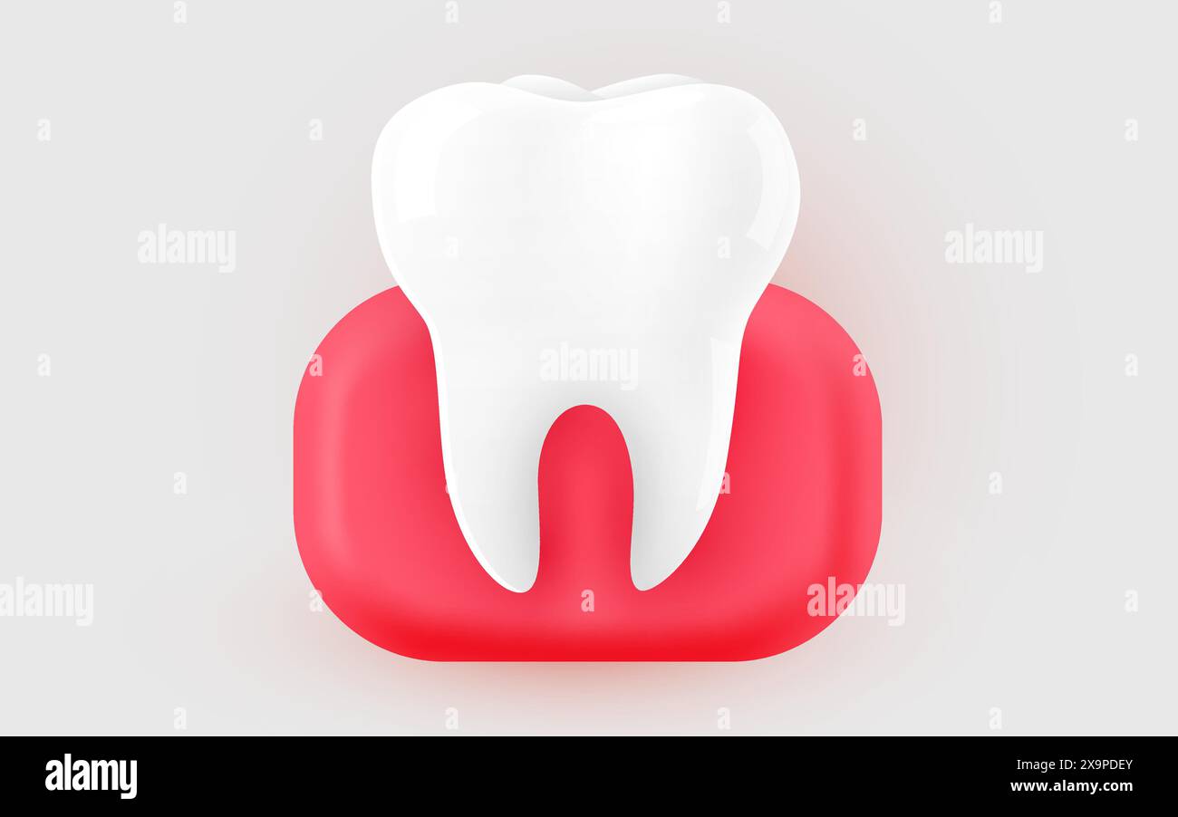 Tooth with gum, 3D illustration of a tooth on a light background ...