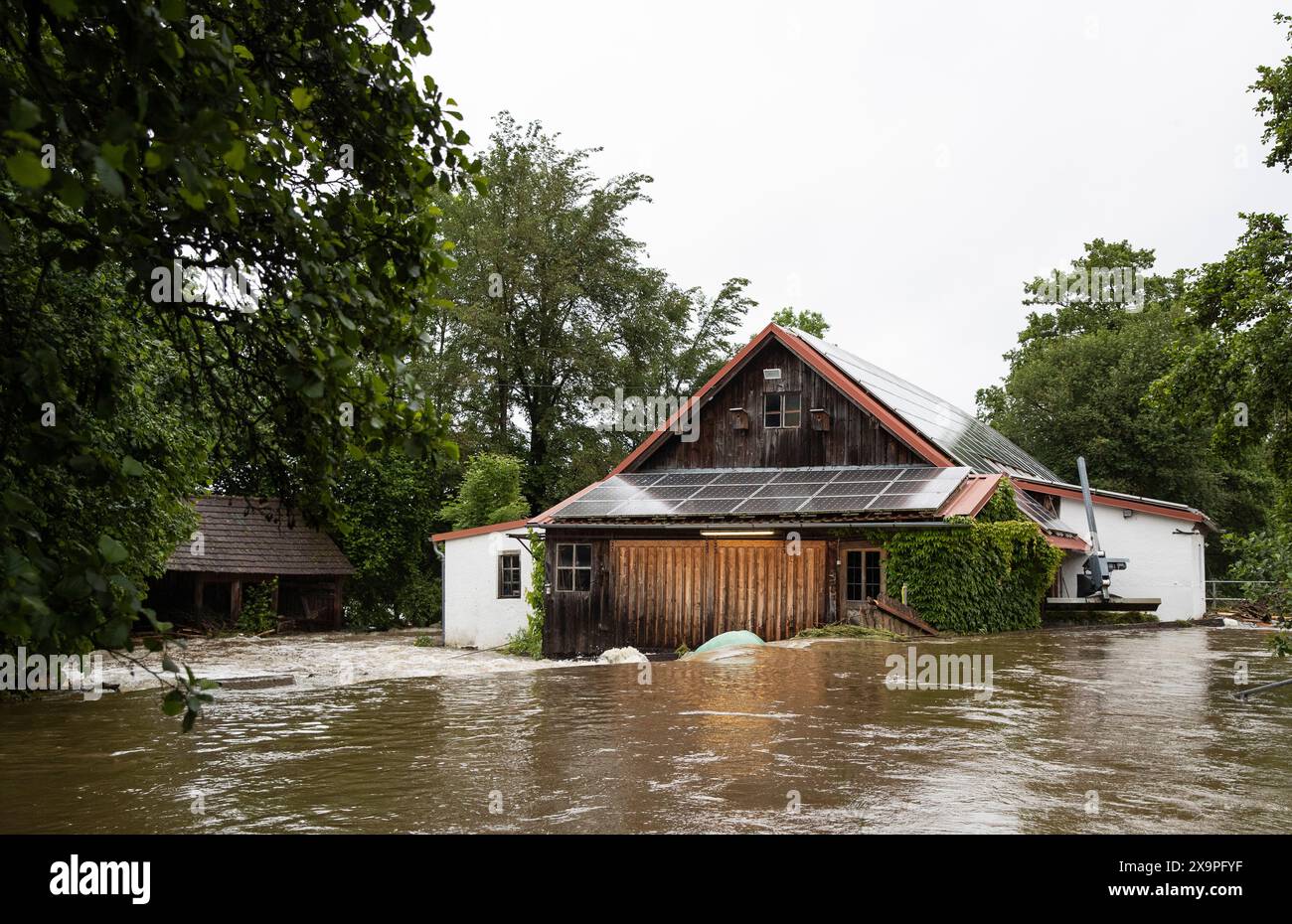 Frankfurt, Germany. 02nd June, 2024. This photo taken on June 2, 2024 ...