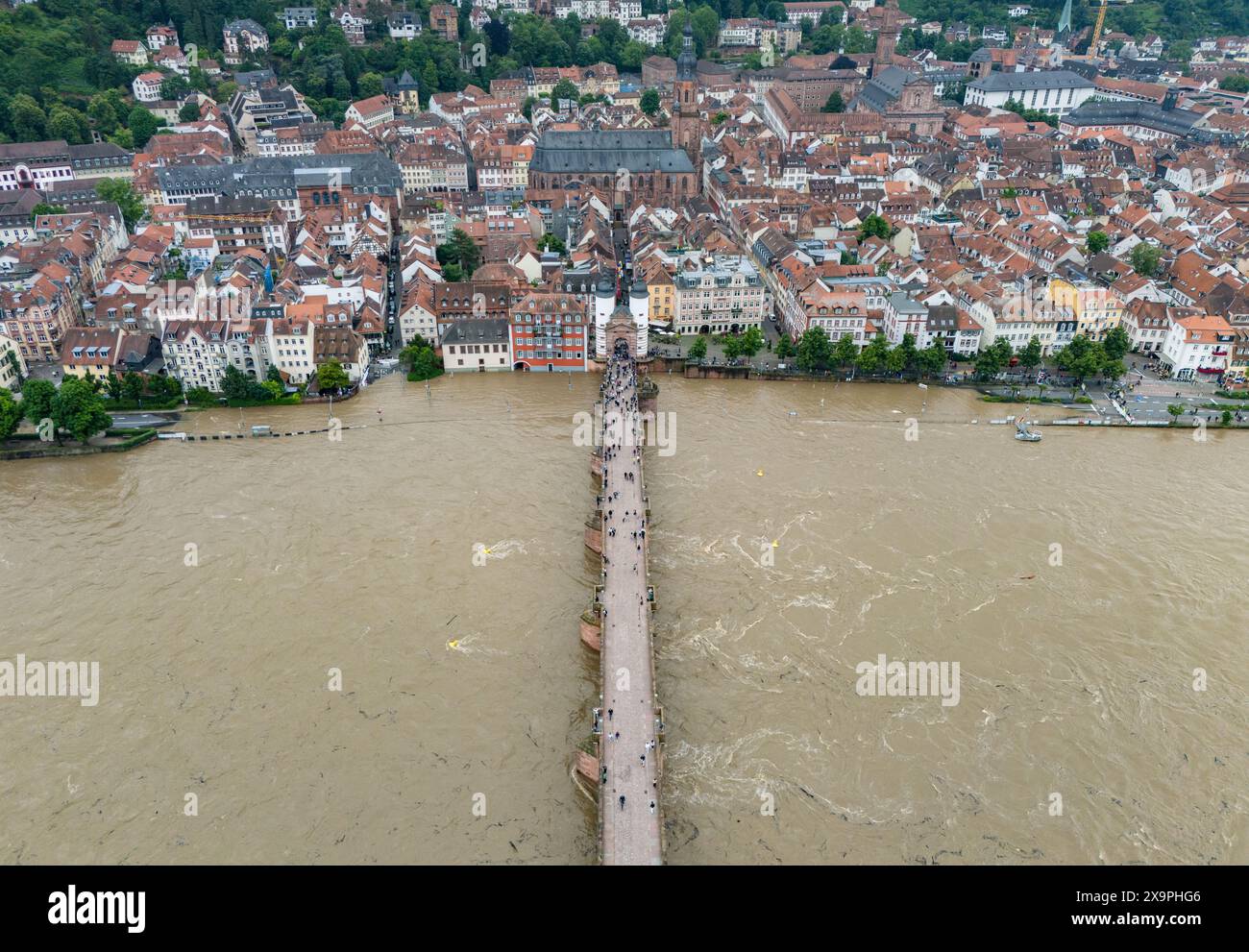 02 June 2024, Baden-Württemberg, Heidelberg: The Neckar burst its banks ...