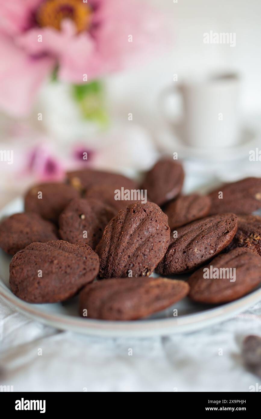 Madeleine with chocolate. Traditional French small cakes Stock Photo ...