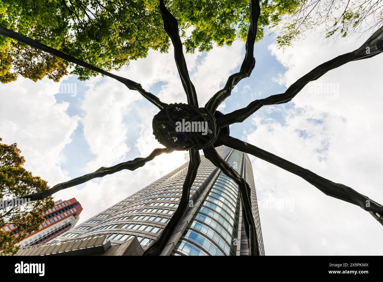 Underneath, view up at the body of the Maman spider sculpture outside ...